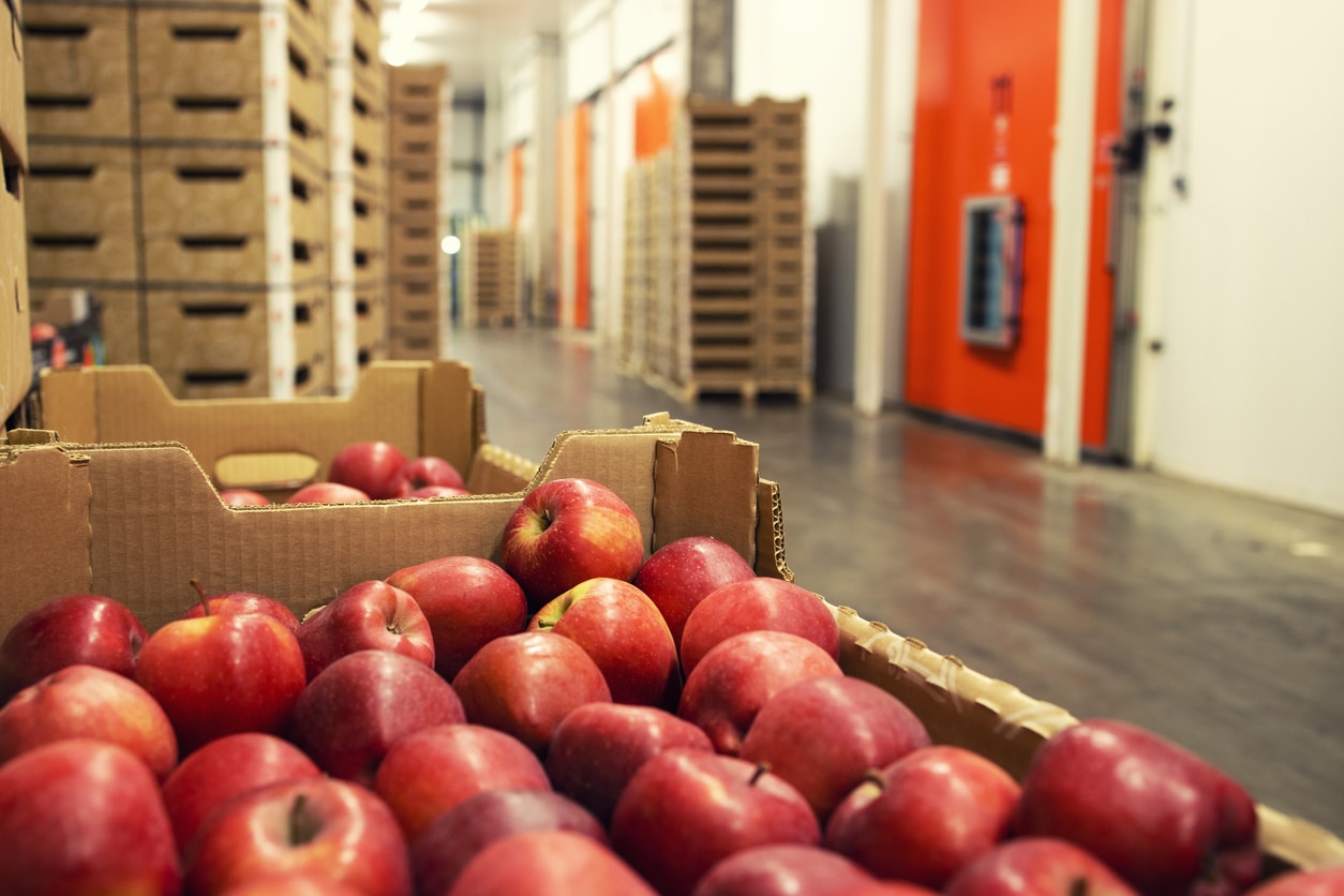How Long Can Apples Keep in Cold Storage? - Beuschel Sales, Inc.